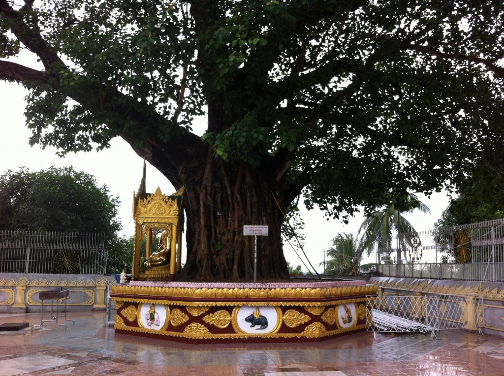 Burmas Legendary Shwedagon Pagoda: A Pilgrimage Site for the Faithful ...