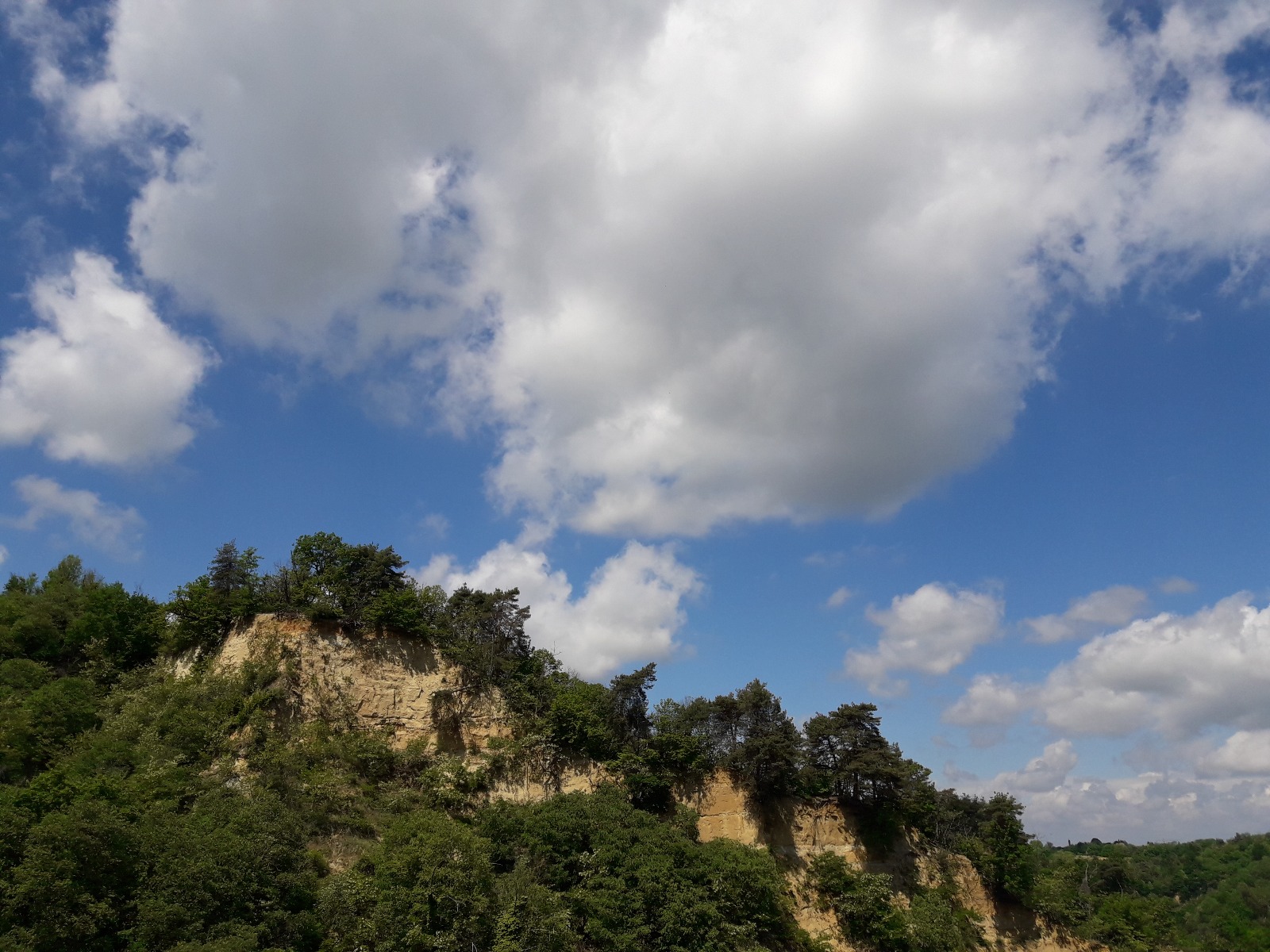 Roero Piedmont: History, Legends and Ancient Viticulture - Electrum ...