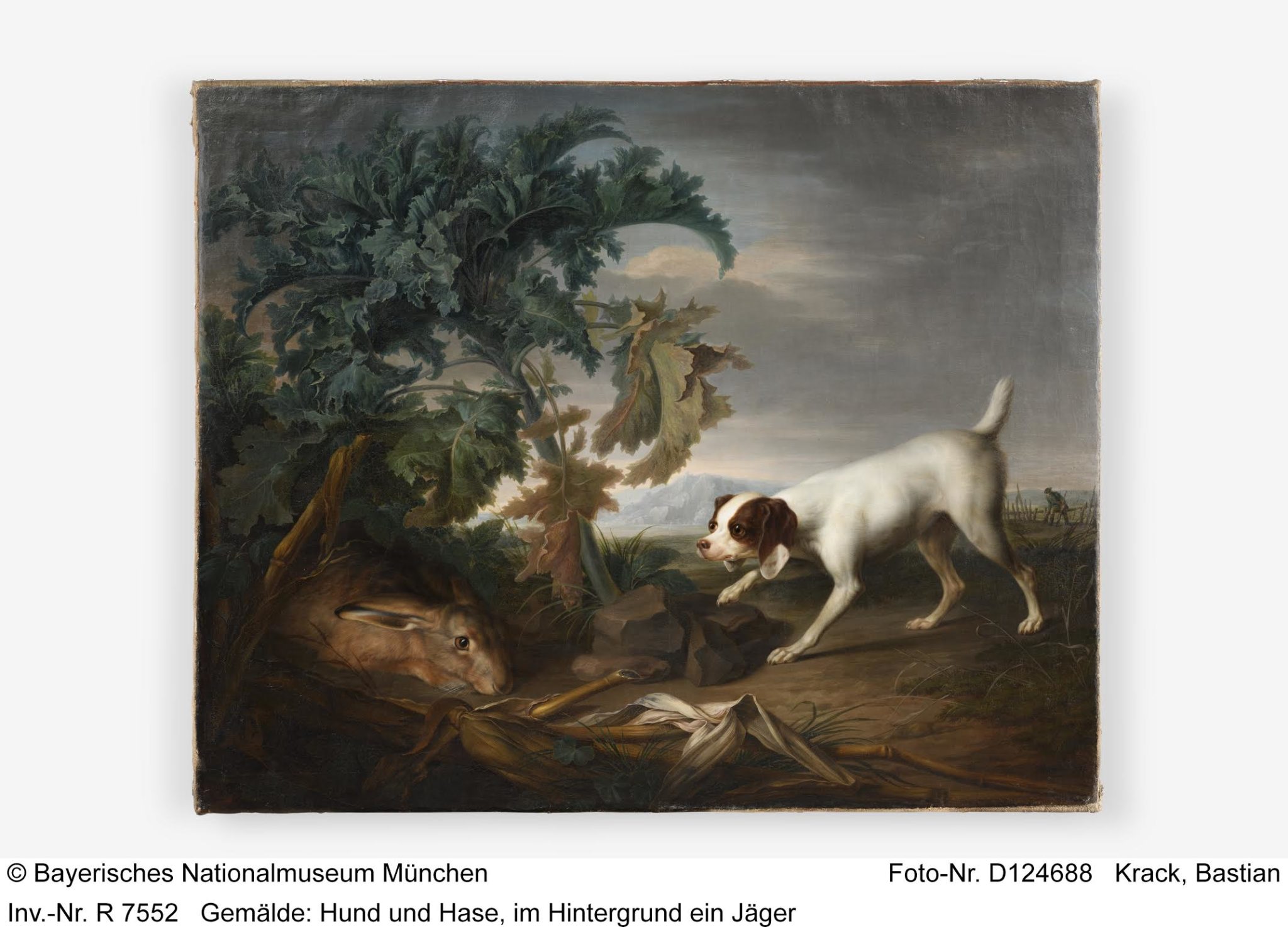 Dogs through the Ages – a History of Canine Material Culture - Electrum ...