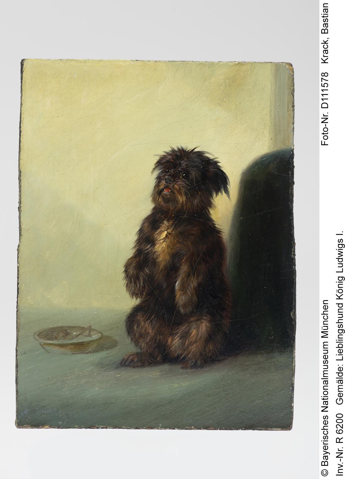 Dogs through the Ages – a History of Canine Material Culture - Electrum ...