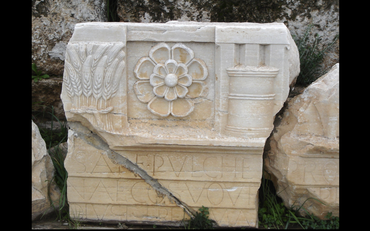 A Selective History of the Sacred Poppy - Electrum Magazine